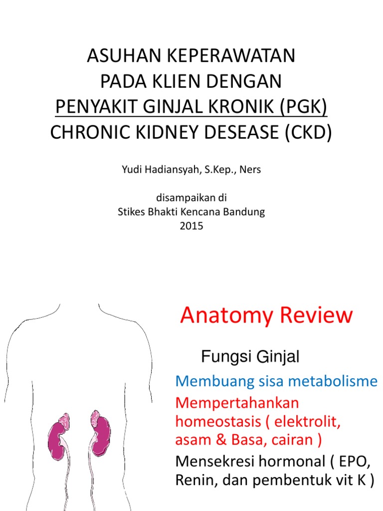 Askep PGK Dan Hemodialisis | PDF