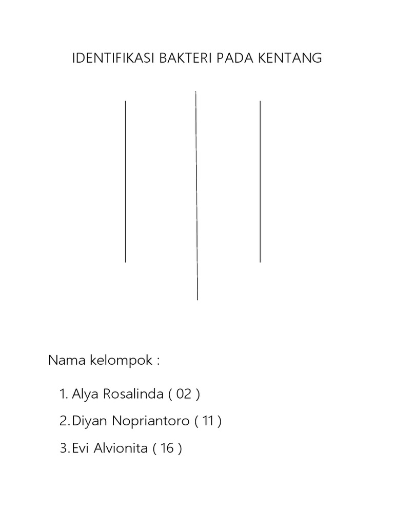 Identifikasi Bakteri Pada Kentang | PDF