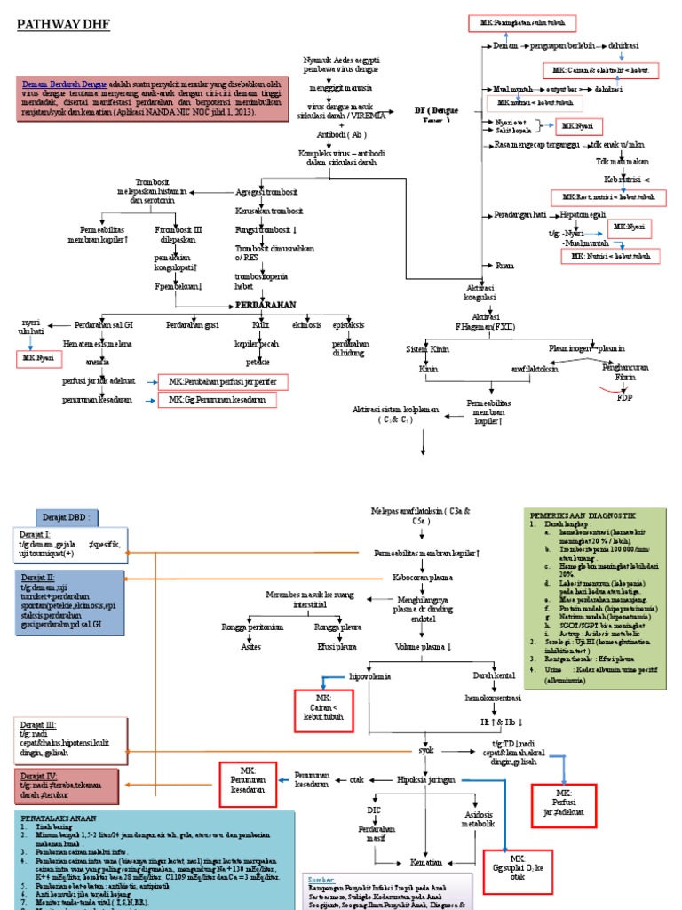 Pathway DHF New1 | PDF