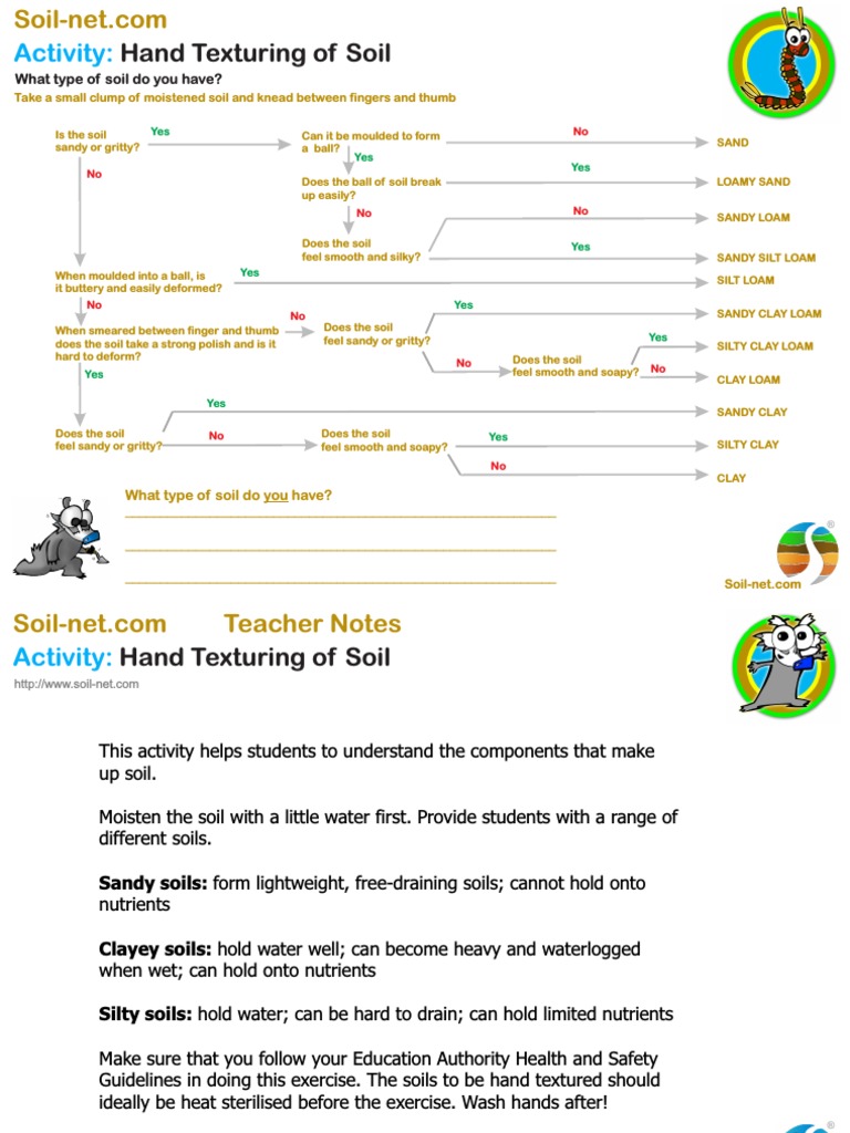Hand Texturing of Soil: Activity | PDF | Loam | Soil