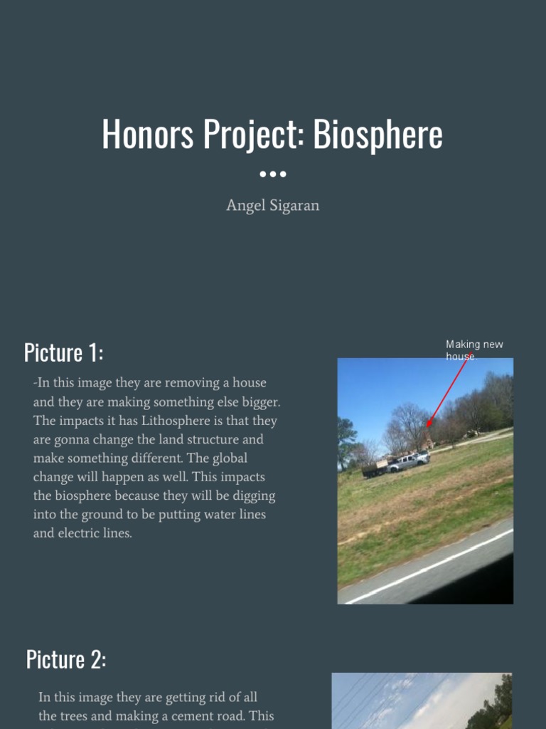 Honors Project - Biosphere | PDF