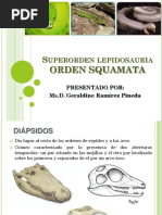 Clasificación de Anápsidos y Diápsidos | PDF | Serpiente | Reptil