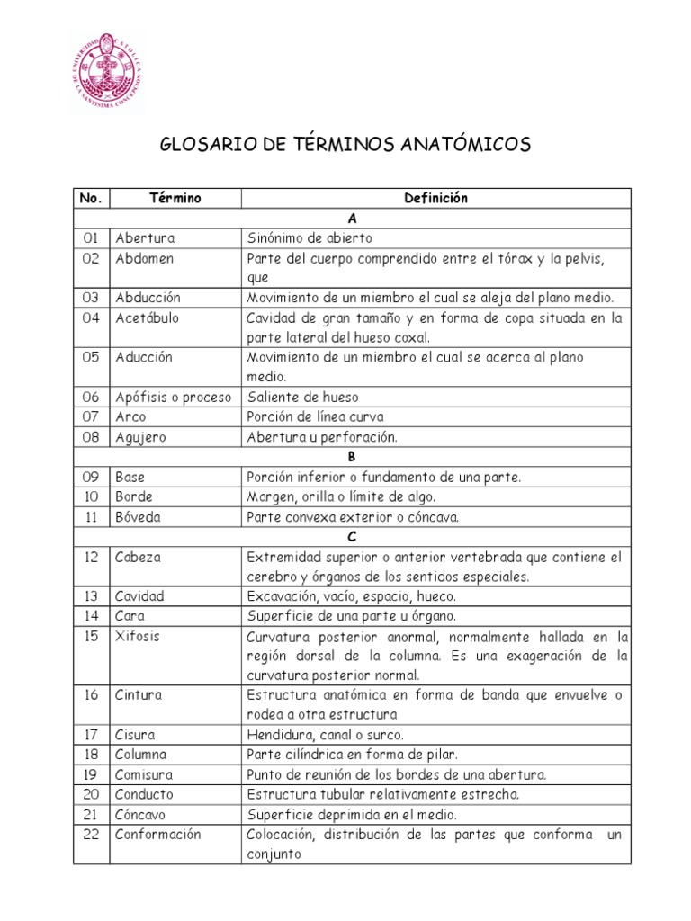 Glosario Anatomia | Términos anatómicos de ubicación | La columna vertebral