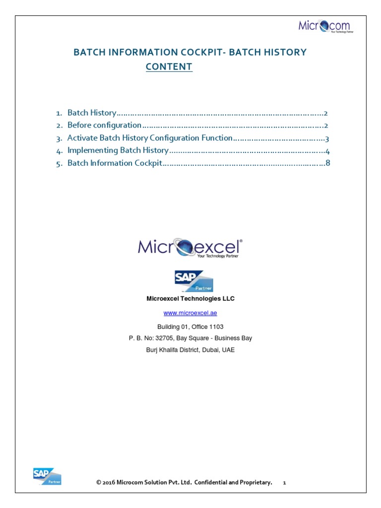 Batch Information Cockpit | PDF | Information Technology Management | Software