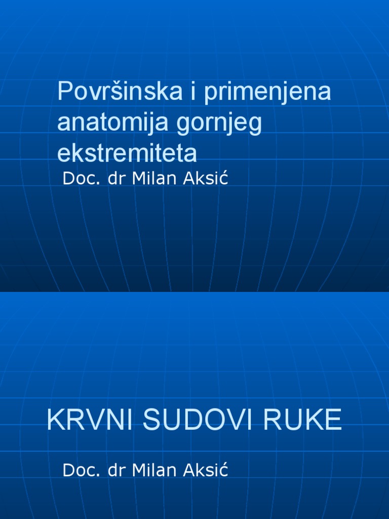 Krvni Sudovi Ruke I Zivci Ruke | PDF