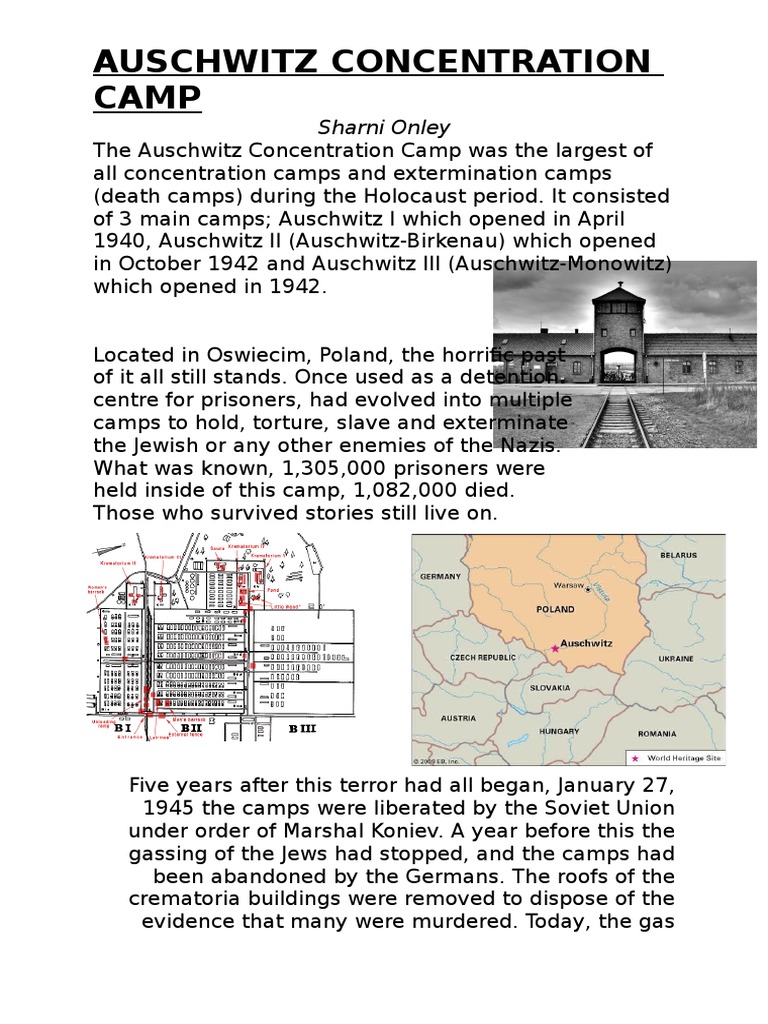Auschwitz Concentration Camp Overview | PDF | History