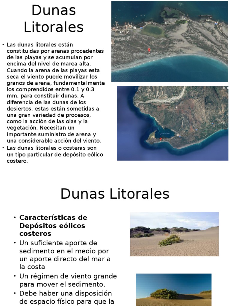 Litorales | PDF | Zona litoral | Mangle