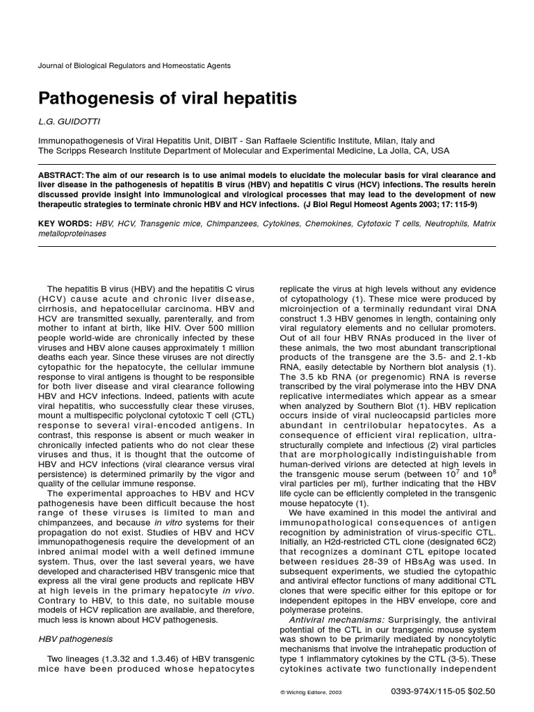 8 Pathogenesis of Viral Hepatitis | PDF | Hepatitis C Virus | Virus
