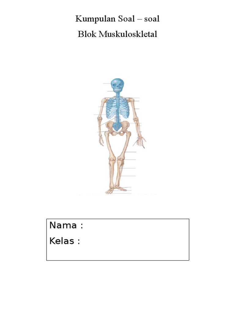 Soal Muskuloskeletal | PDF