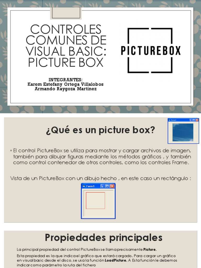 Controles PictureBox en Visual Basic | PDF | Básico | Archivo de ...