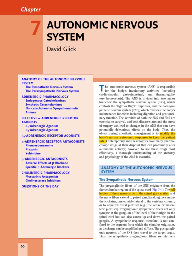 Chapter 7 - Autonomic Nervous System | PDF | Autonomic Nervous System ...