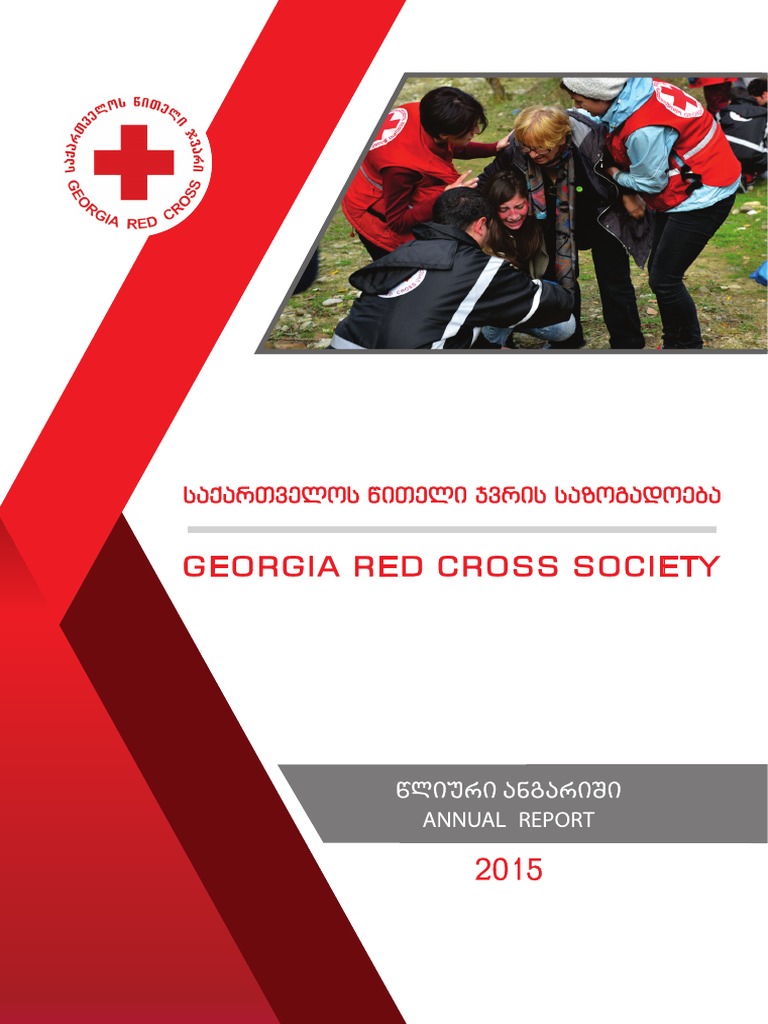 Annual Report Bolo WEB | PDF