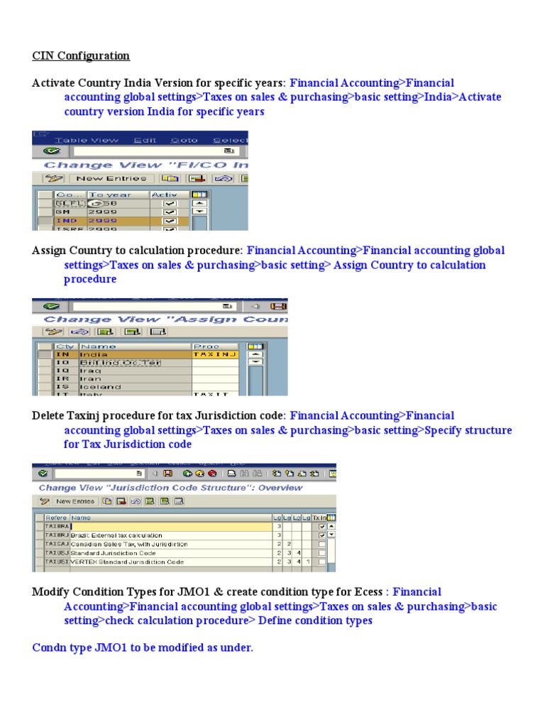 CIN Configuration | PDF | Excise | Taxation