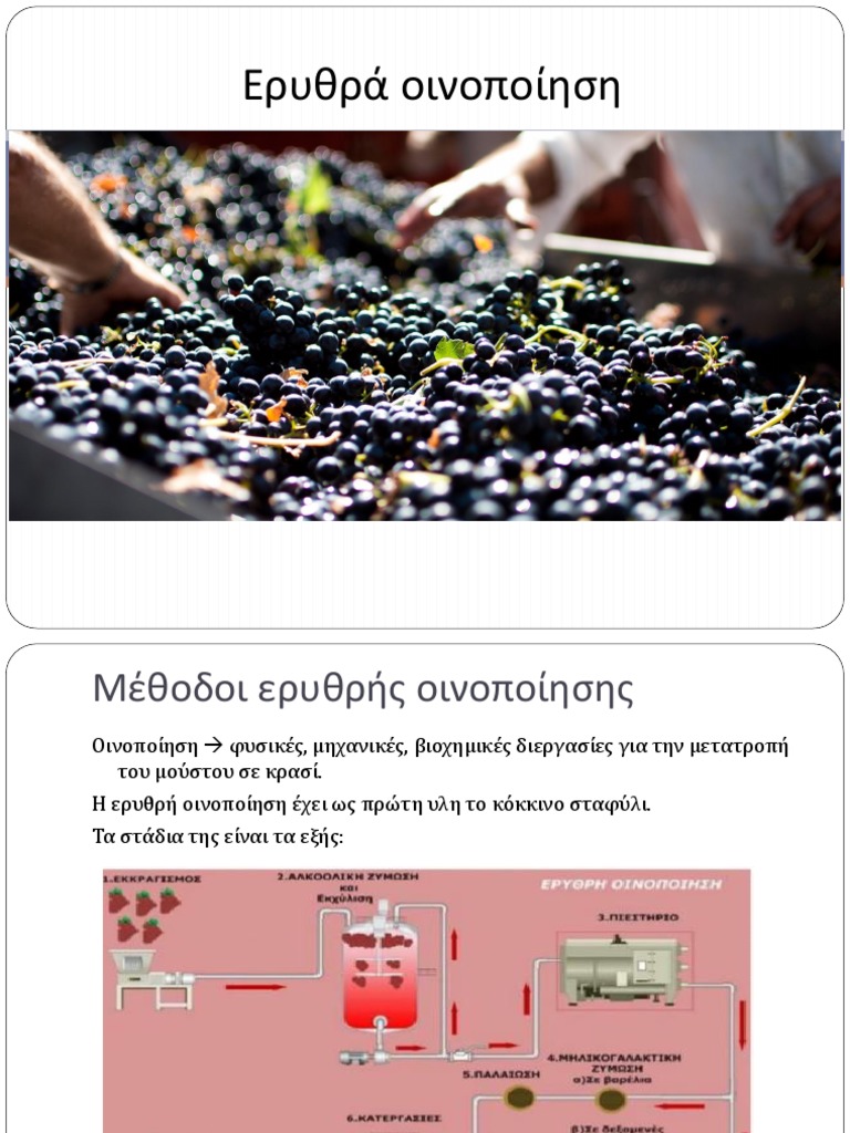 ΕΡΥΘΡΗ ΟΙΝΟΠΟΙΗΣΗ | PDF