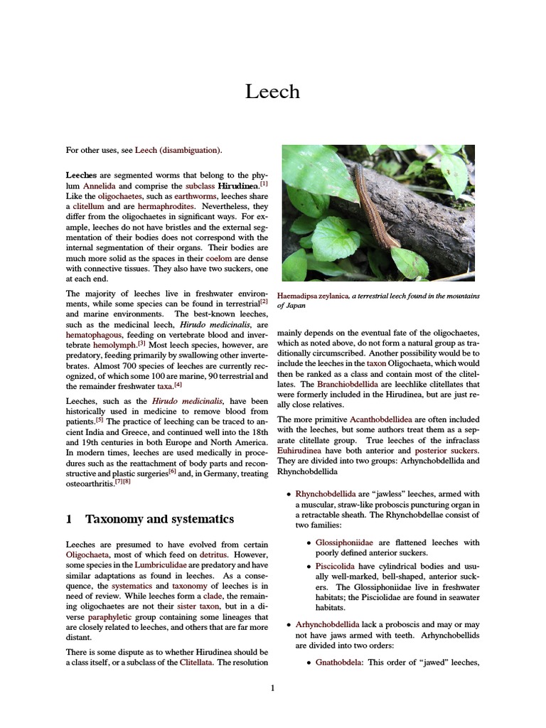 Leech | PDF | Biology | Medicine