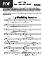 Tuba Handbook for Beginners | PDF | Tuba | Brass Instruments