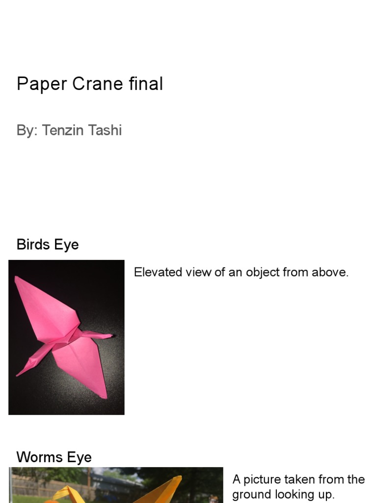 Paper Crane Final Tenzin | PDF