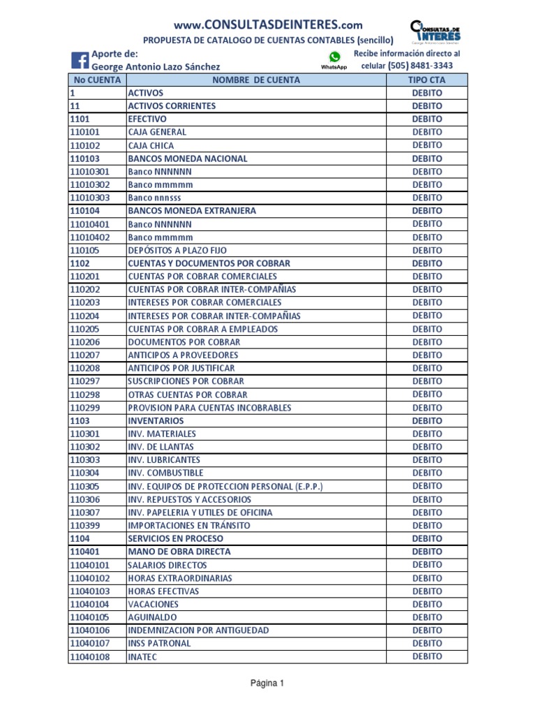 Propuesta de catálogo de cuentas contables para una empresa de servicios | PDF