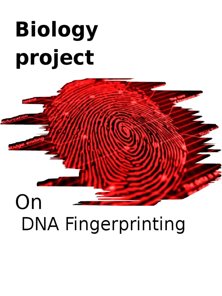 Biology Project On Dna Fingerprinting Dna Profiling Polymerase Chain Reaction 