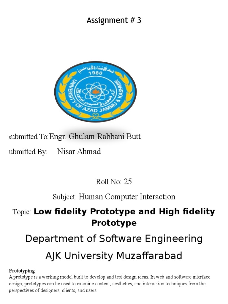 Assignment | PDF | Software Prototyping | Prototype