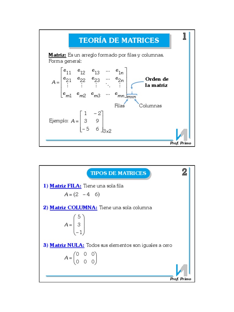 Teoria de Matrices | PDF | Matriz (Matemáticas) | Funciones y mapeos