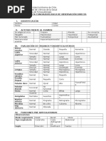Evaluación Fonoaudiológica PEFE 4-6 Años | PDF