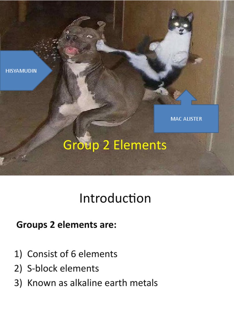 Group 2 Elements | PDF | Oxide | Physical Sciences