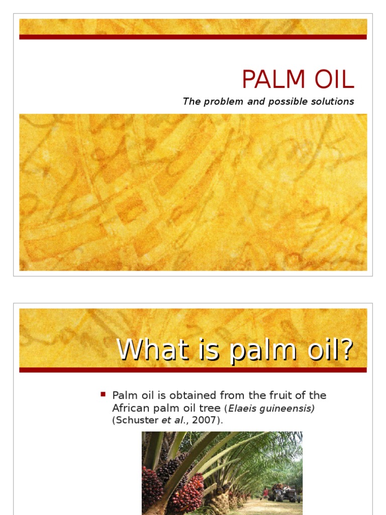 Palm Oil Presentation | PDF | Palm Oil | Orangutan