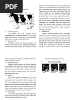 Anatomi Dan Fisiologi Organ Reproduksi Ayam | PDF