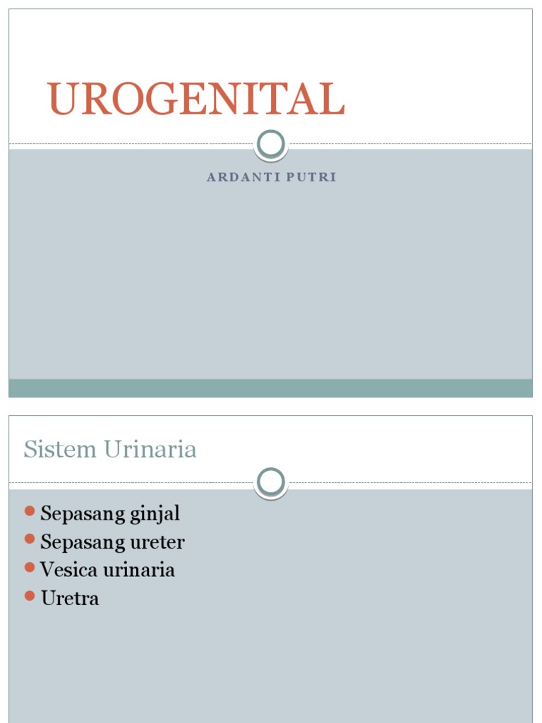 Uro Genital | PDF