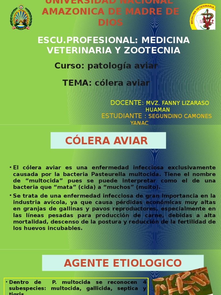 Colera Aviar | PDF | Aves | Las bacterias