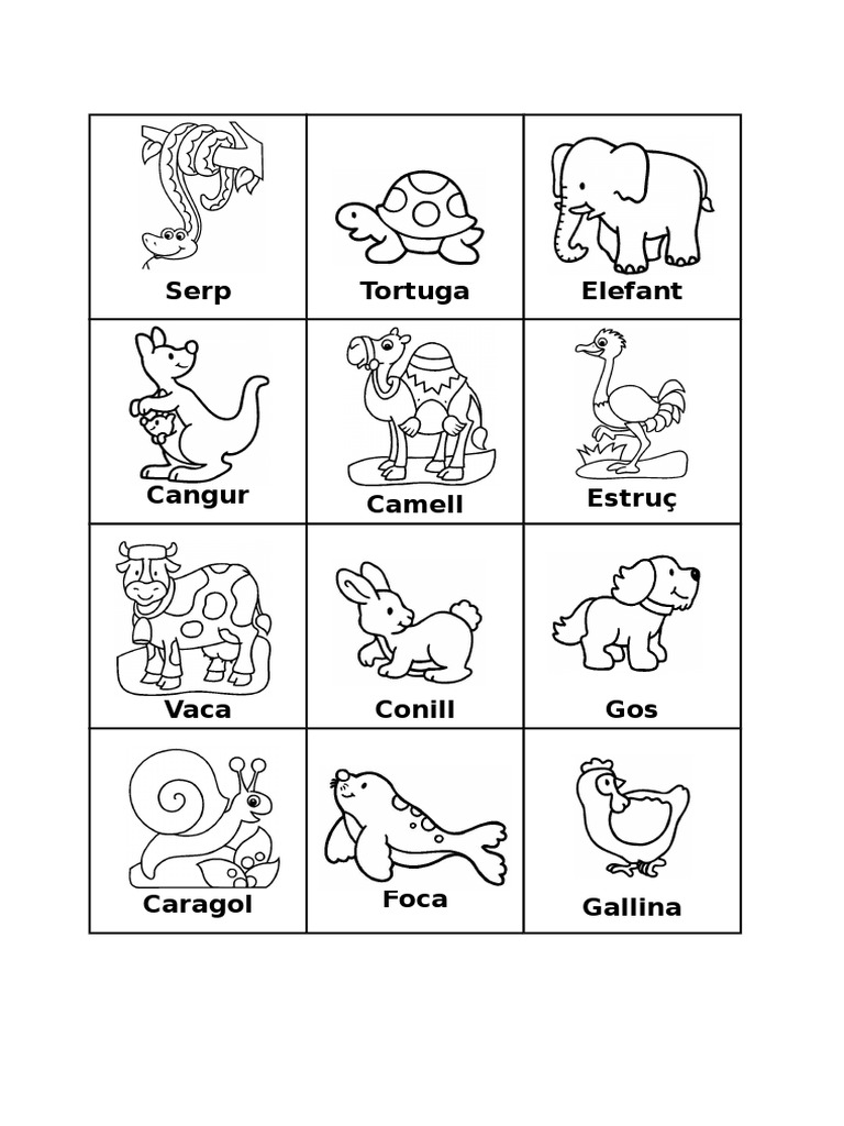 Animal Names in Catalan | PDF