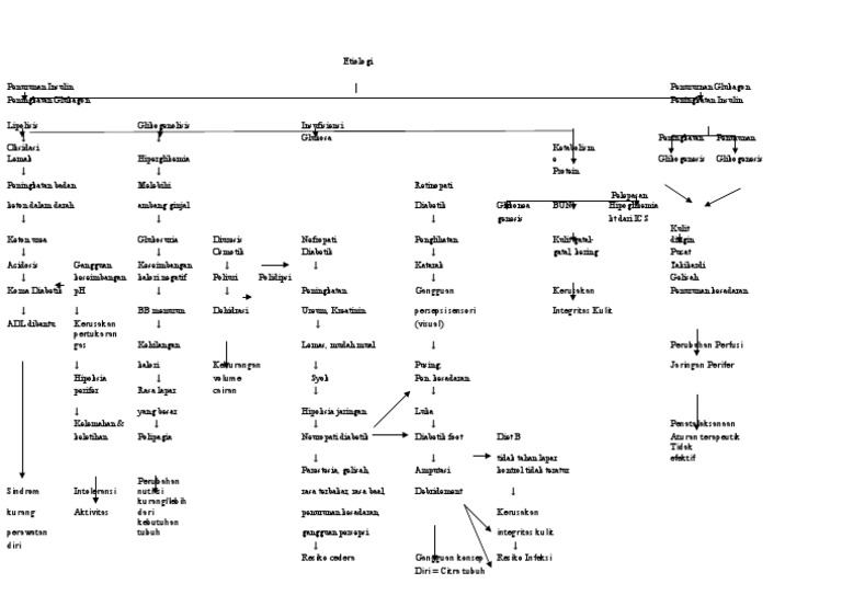 WOC Diabetic Foot | PDF