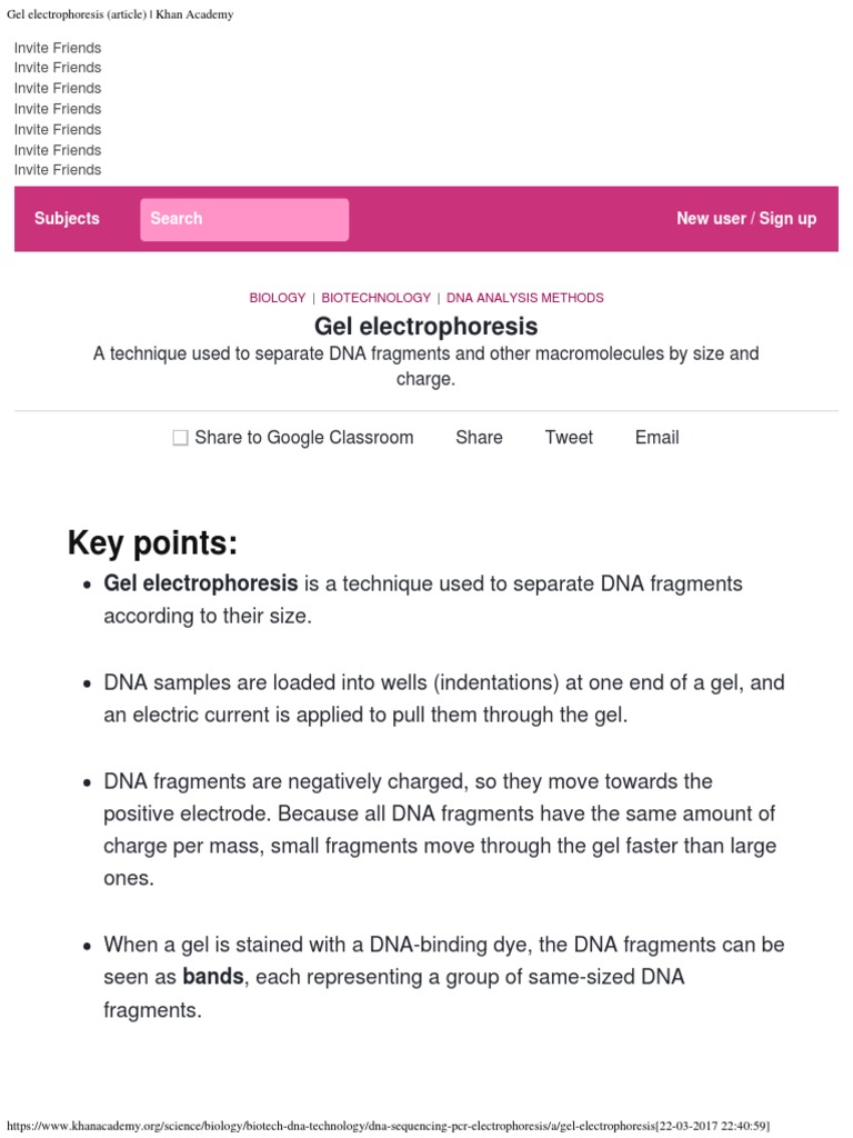 Gel Electrophoresis (Article) Khan Academy | PDF | Gel Electrophoresis ...