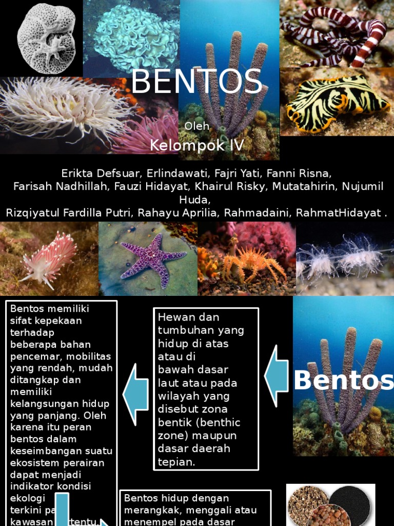 Pengertian dan Contoh Bentos | PDF