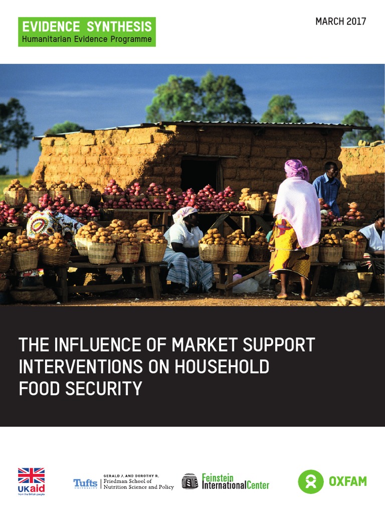 The Influence of Market Support Interventions On Household Food ...