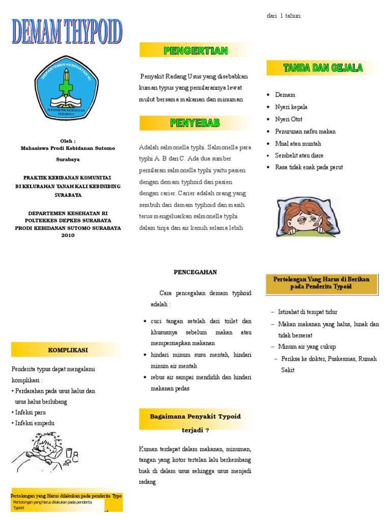 Leaflet Demam Typhoid 1 | PDF