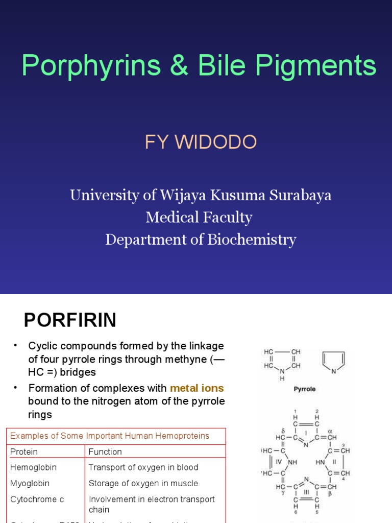 2. PORFIRIN | Porphyrin | Biochemistry