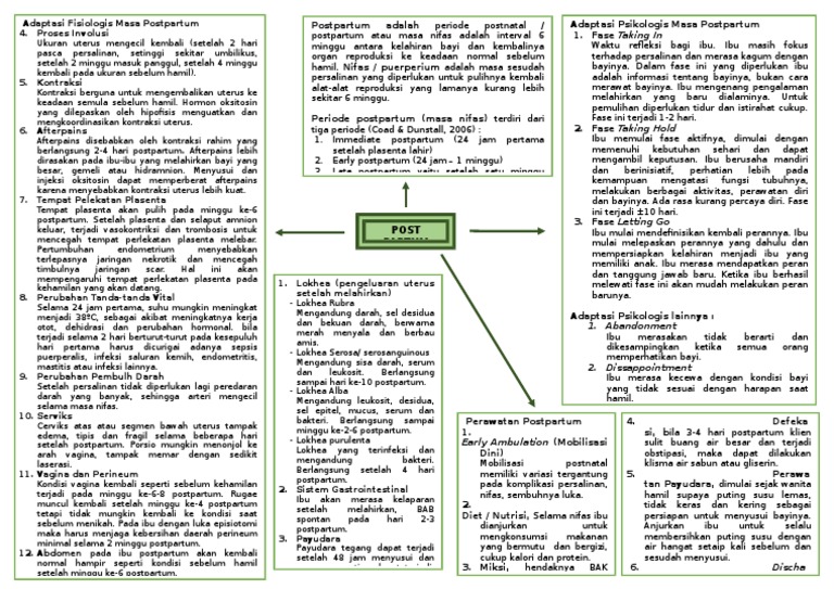 Mindmap Postpartum | PDF