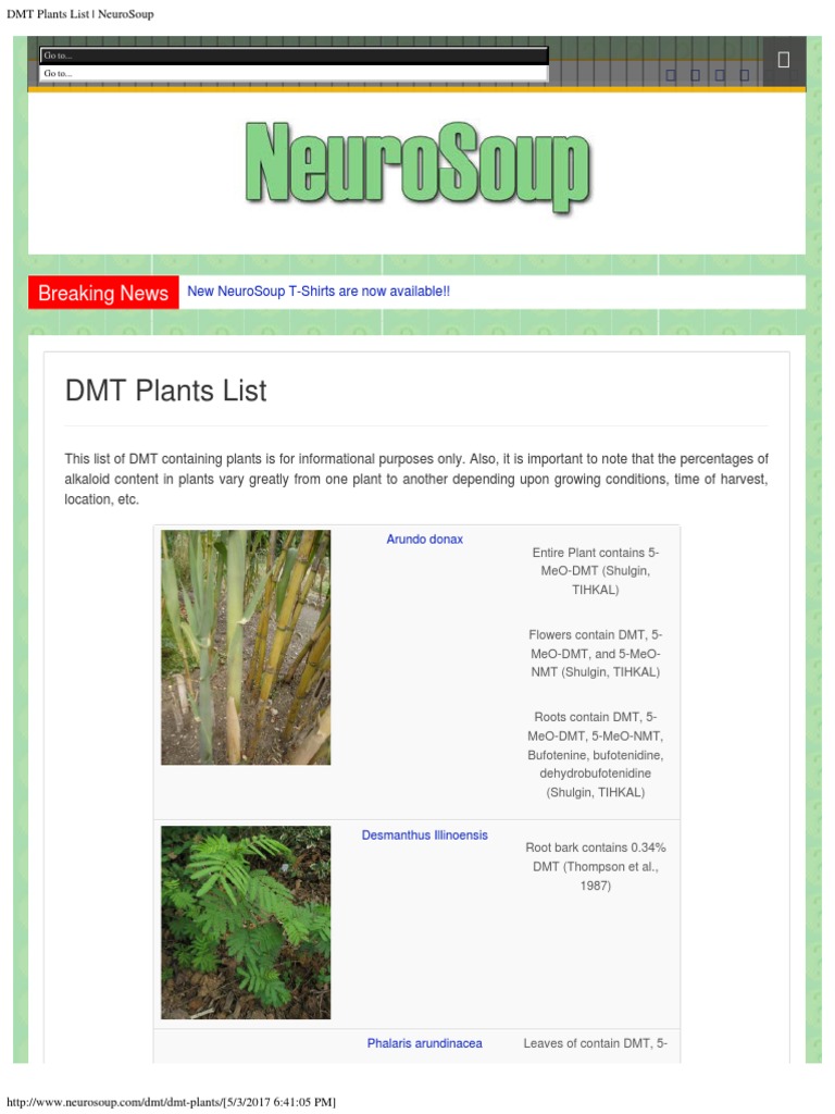 DMT Plants List: Breaking News