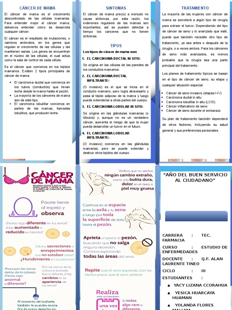 Quadrantectomia Cncer De Mama Brasil