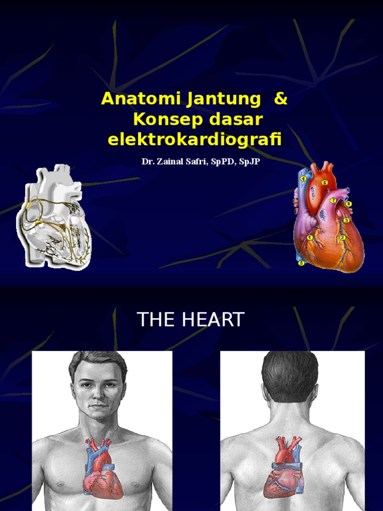 EKG 1 Dasar | PDF