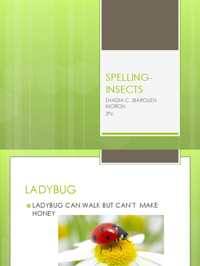 Spelling Insects | PDF