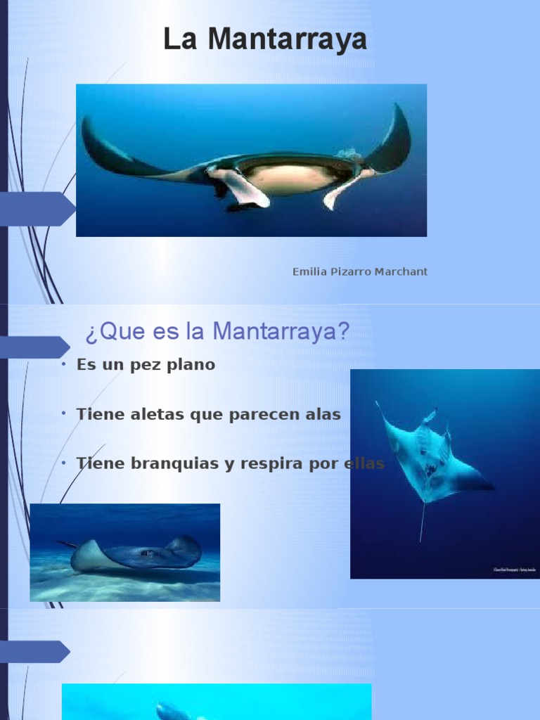 La Mantarraya