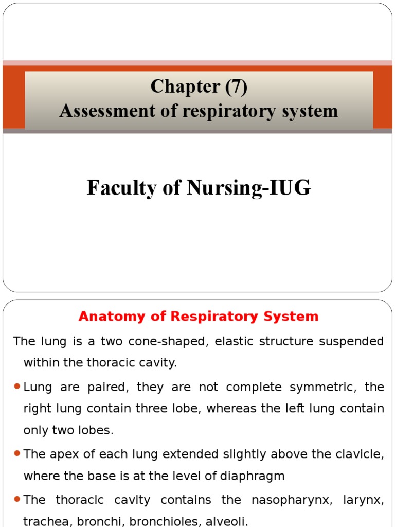 Health Assessment Chapter 7 Assessment of Respiratory System | PDF ...
