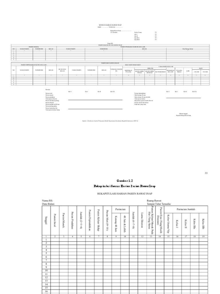 Format Sensus Harian Rawat Inap | PDF