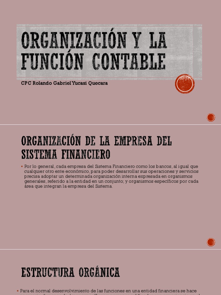 Organizacion y La Funcion Contable en Una Entidad Financiera | PDF ...