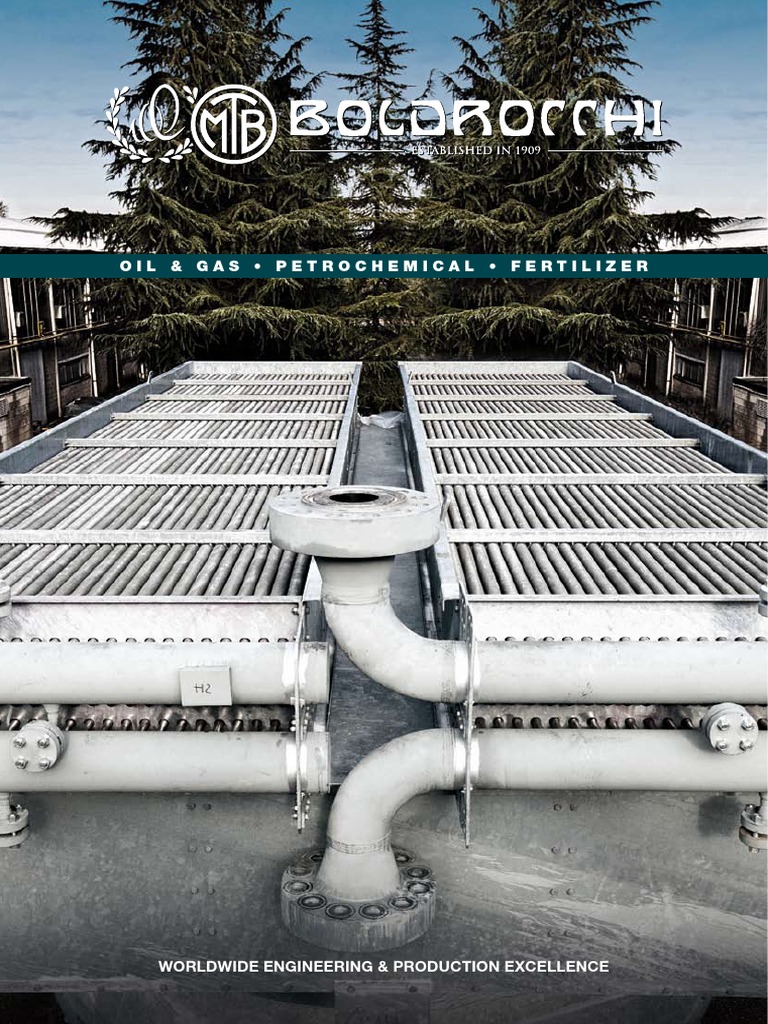 Boldrocchi Equipment For Process Applications | PDF | Machines | Furnace