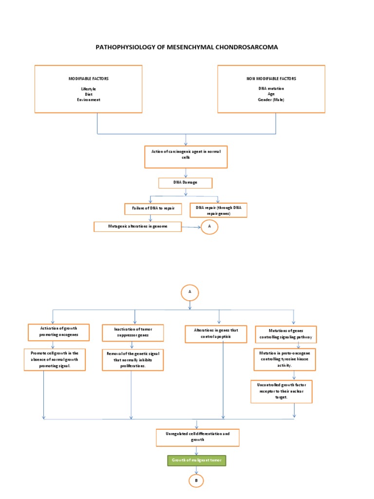 Mesenchymal Chondrosarcoma Pathophysiology | PDF | Cancer | Biology