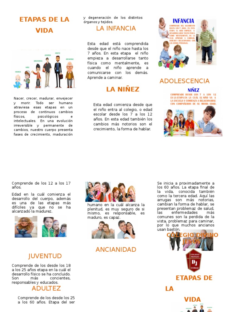 Etapas de La Vida | PDF | Vejez | Infancia